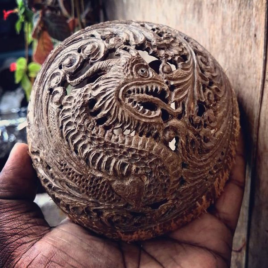 Amazing Coconut Shell Carving Dragon ,hand Carved Home Office, or ...