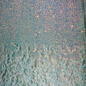 Clear Iridescent Sequin Velvet Fabric With Feathers on Mint Stretch ...