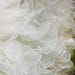 Organza Ruffle Design Embroidered on Taffeta Backing, 57" Wide Waves ...