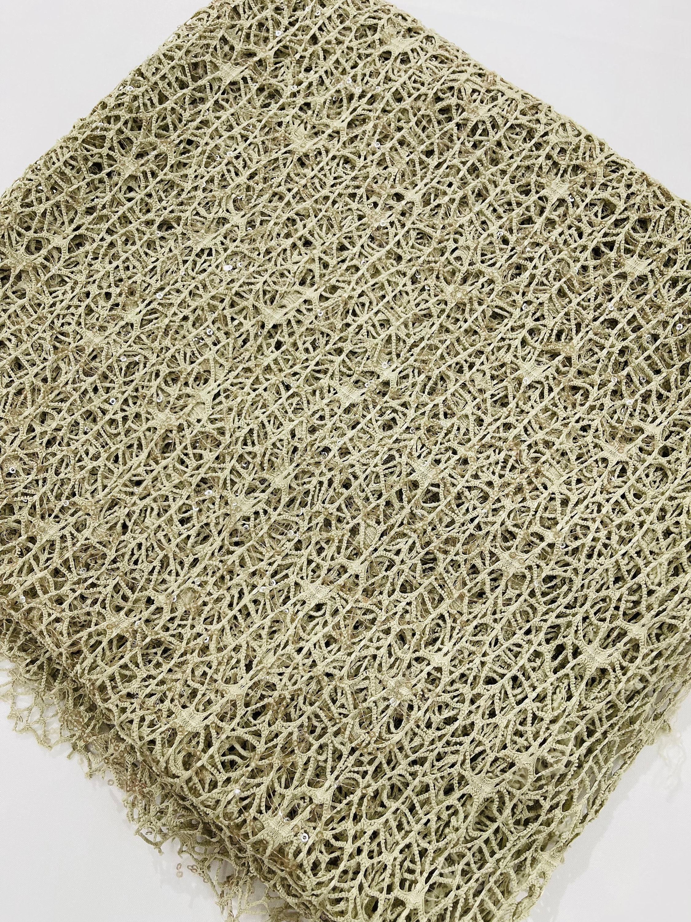 Taupe Fish Net Fabric, Cast Net Design Taupe Sequins Embroidery on Mesh ...