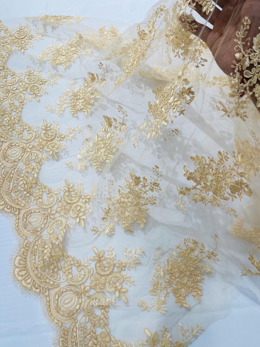 Beige Floral Lace Fabric: Corded Embroidery on Mesh, Bridal Gown Lace ...
