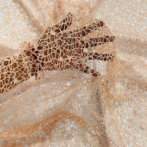 Peach Fish Net Fabric, Cast Net Design Sequins Embroidery on Mesh Lace ...