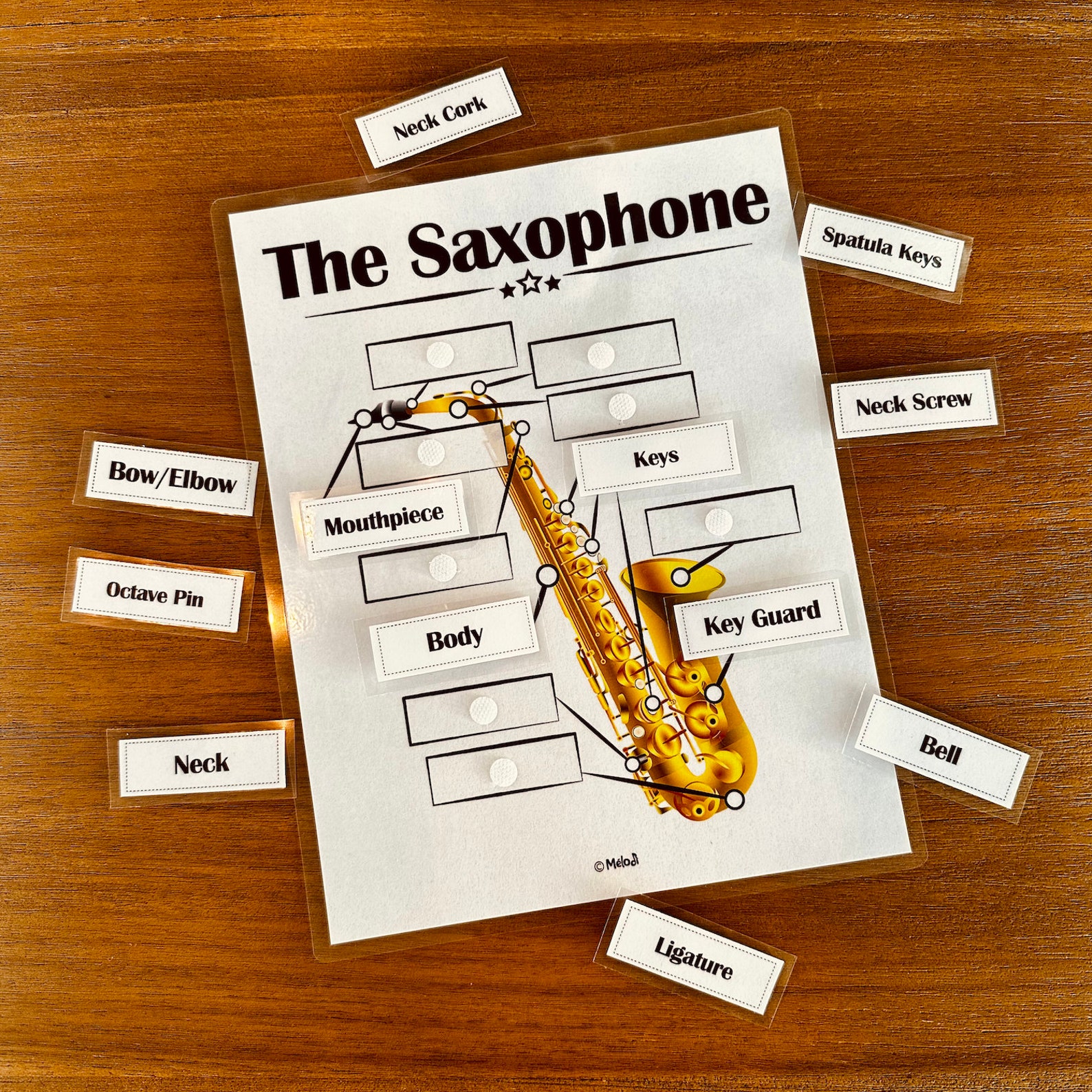 Saxophone Parts Printable Memory Game, Learning Saxophone, Beginner ...