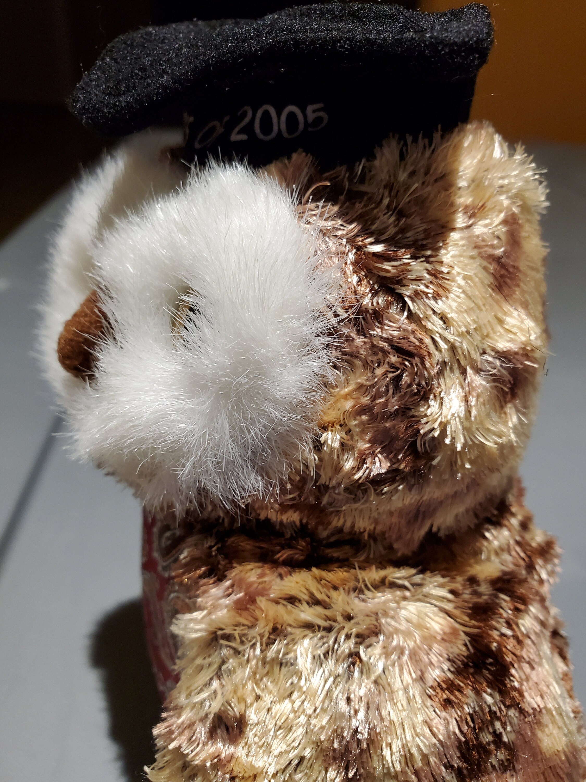 TY Beanie Babies Owl. Smarty. Class of 2005. New With the Tag. - Etsy