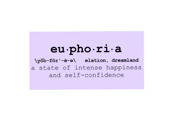 Euphoria Vinyl Sticker Euphoria Definition Sticker | Etsy