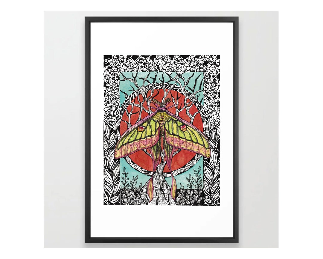 Moon Moth- Original Watercolor Painting-ink Details-art Print-nature ...