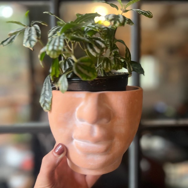 Face Plant Pot - Etsy