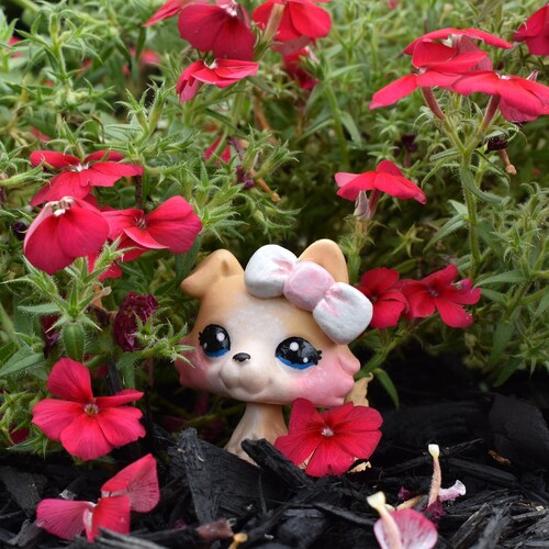 LPS Custom Commission message BEFORE PURCHASE - Etsy