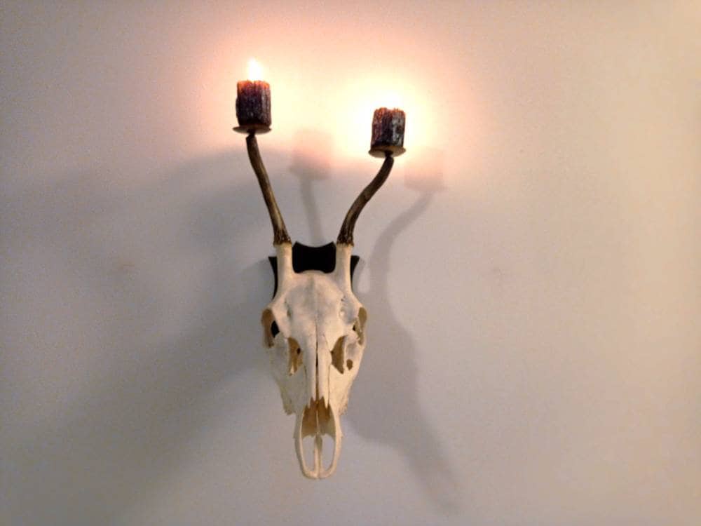 Deer Skull Candle Lamp Deer Skull Lamp Real Deer Skull - Etsy