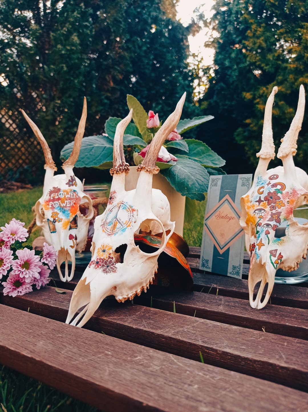 Hippie Flower Real Roe Deer Skull Skull Carving Boho Skull Rustic ...