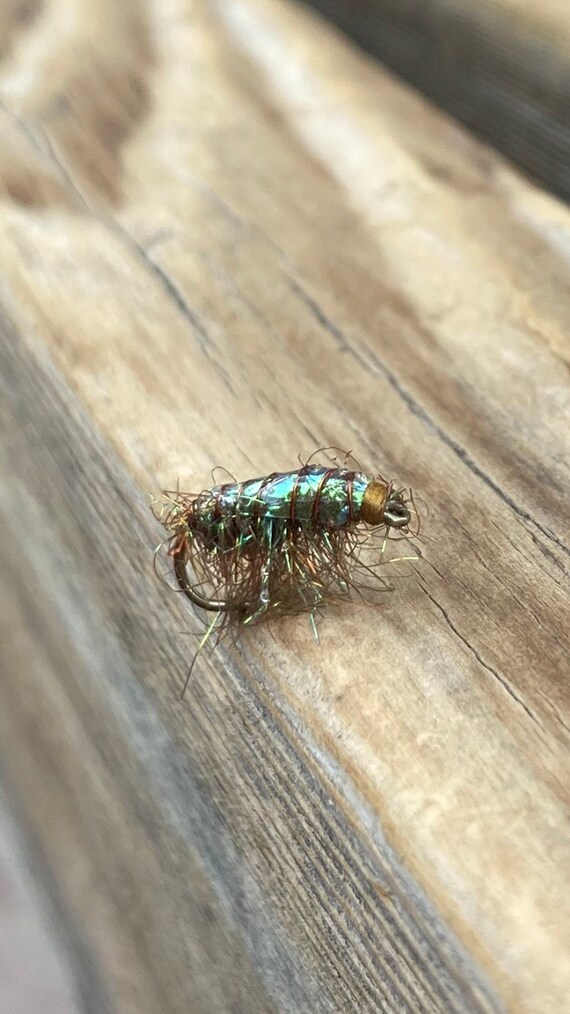 Size 14 flashy scud pattern fly fishing fly 5 pack | Etsy