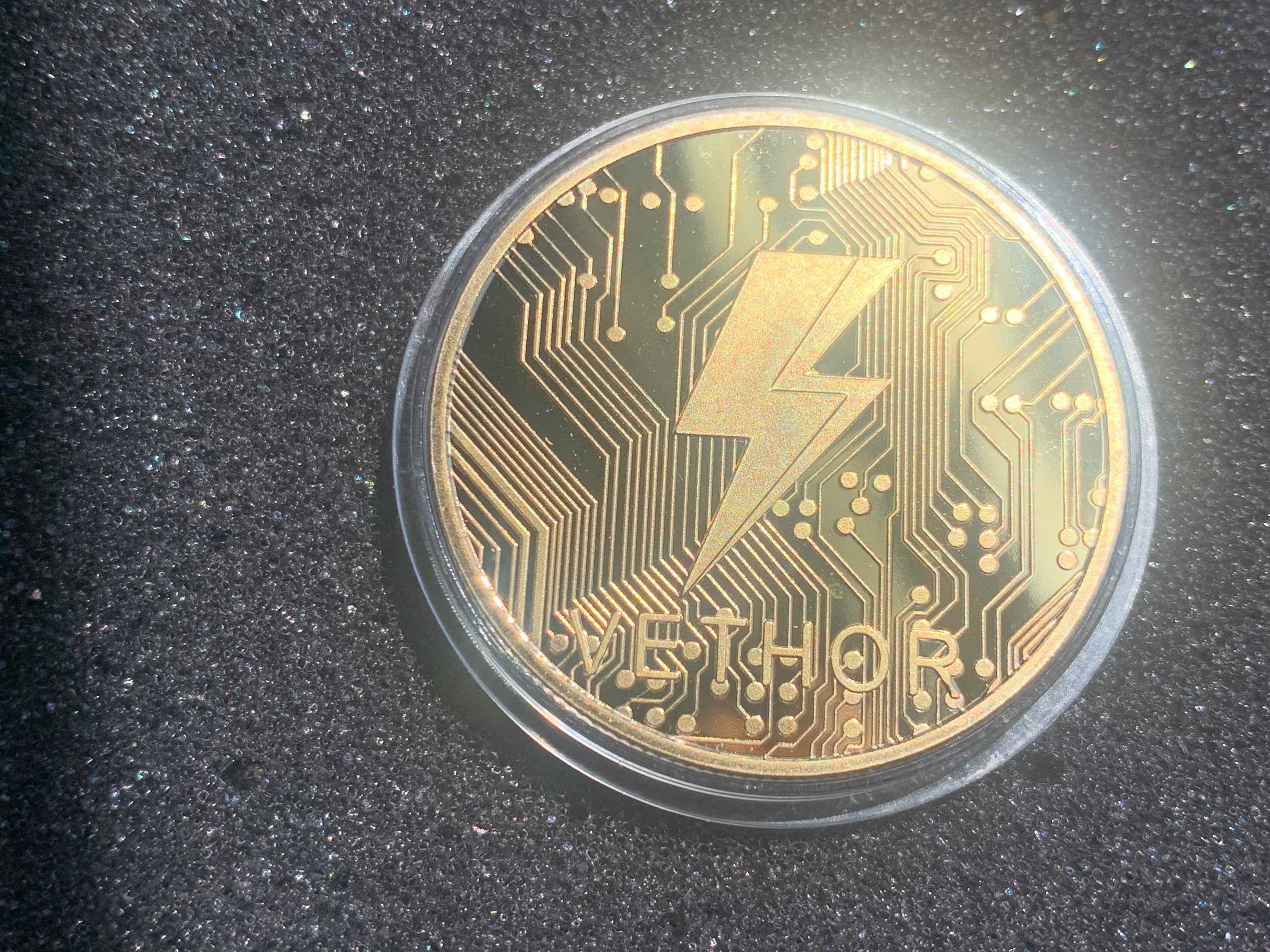 Vechain / Vethor Crypto Coin Plus Free Mystery Coin With Any | Etsy