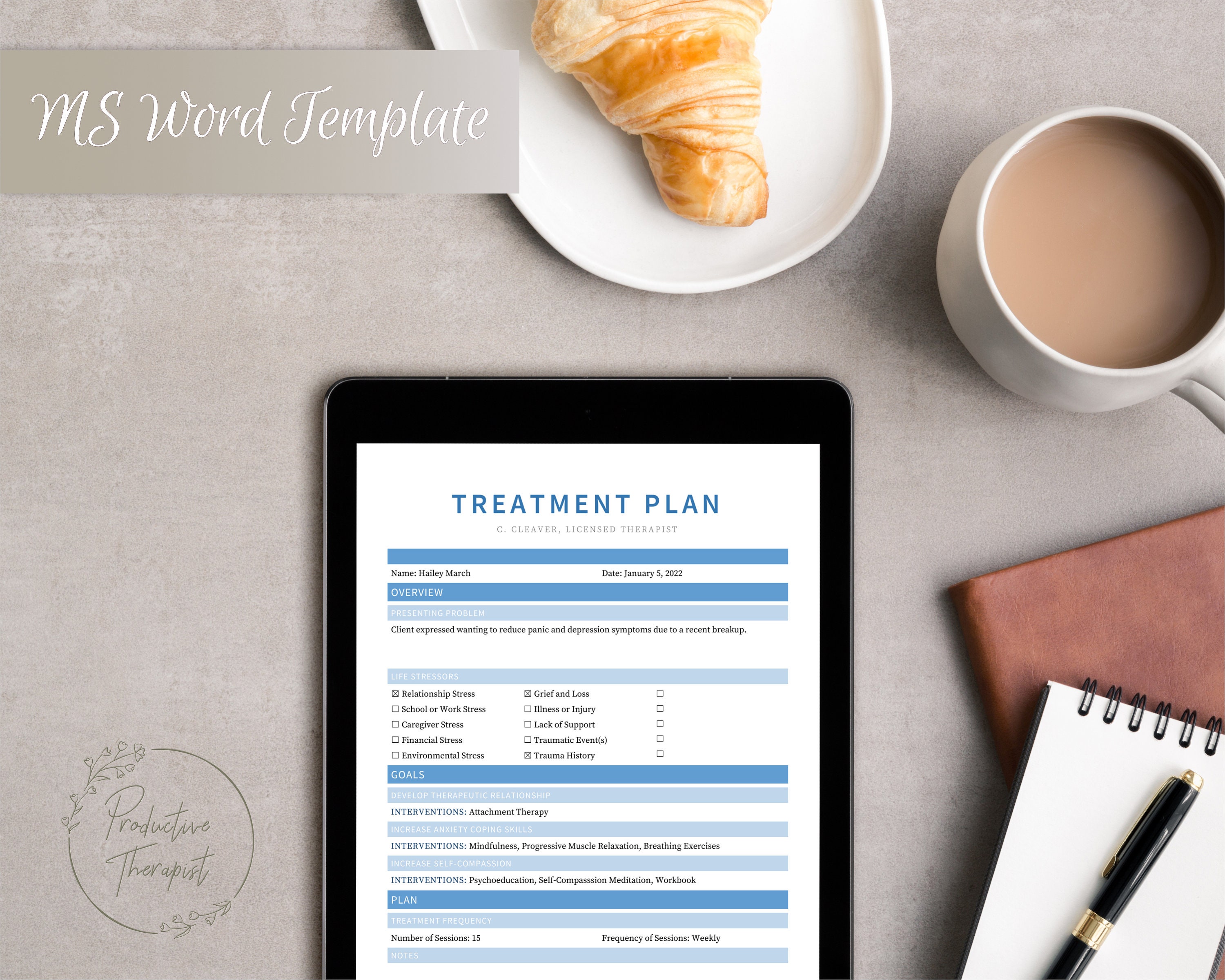 Simple Treatment Plan Template for Therapists, Counselors ...