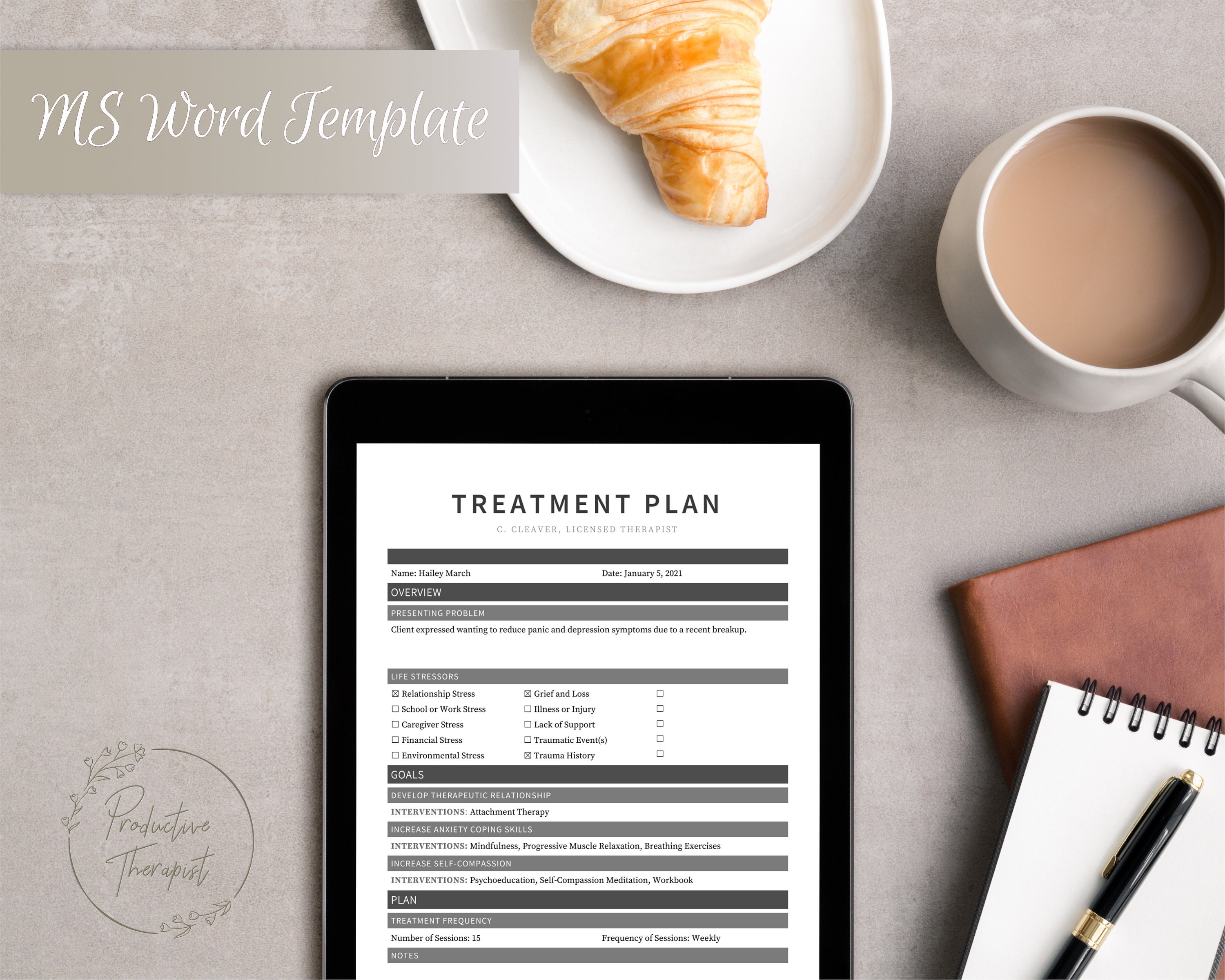 Simple Treatment Plan Template for Therapists, Counselors ...