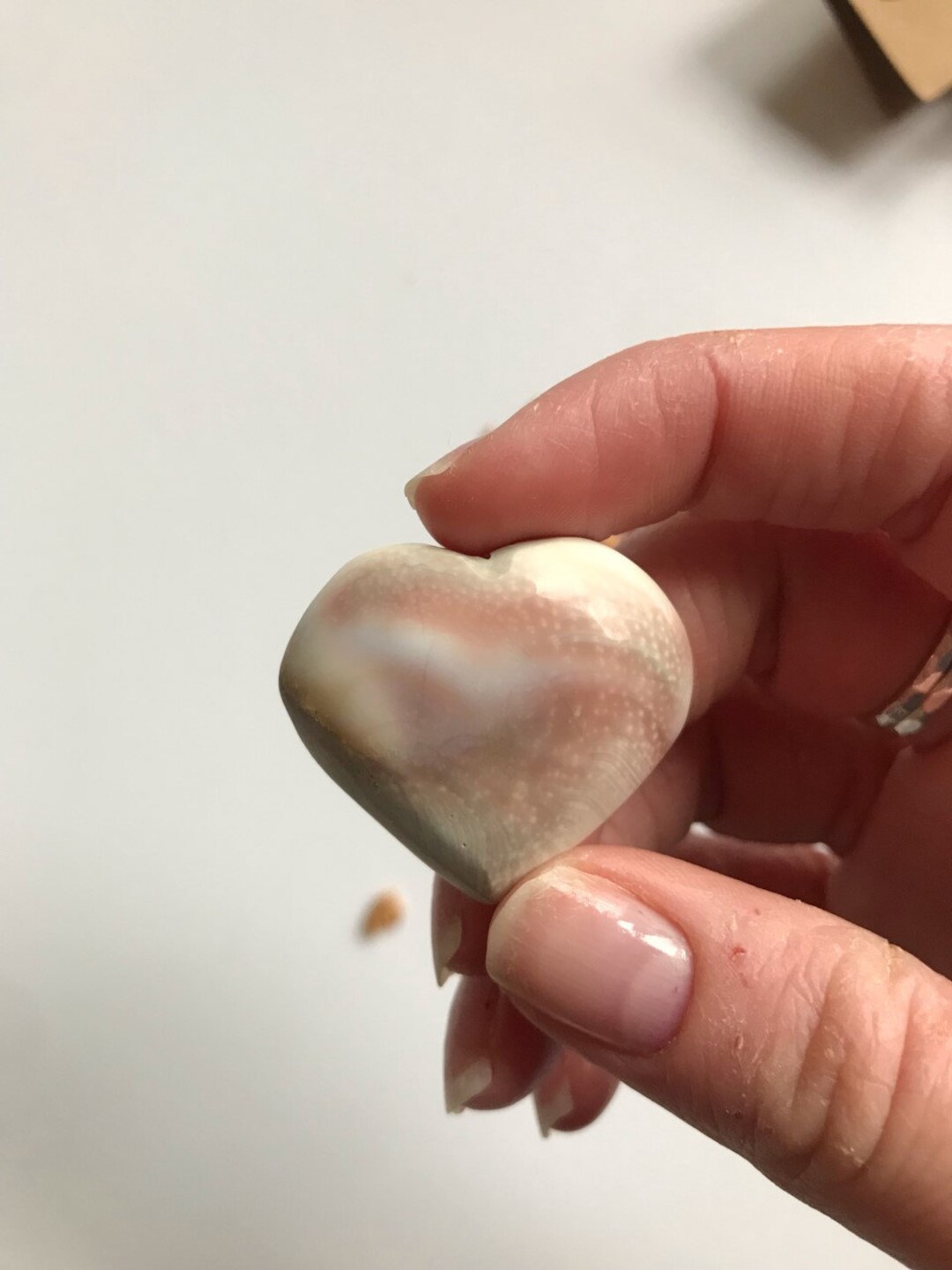 Eye of Shiva Heart Fossil Crystal Shell Cats Eye Heart Witch Charm - Etsy
