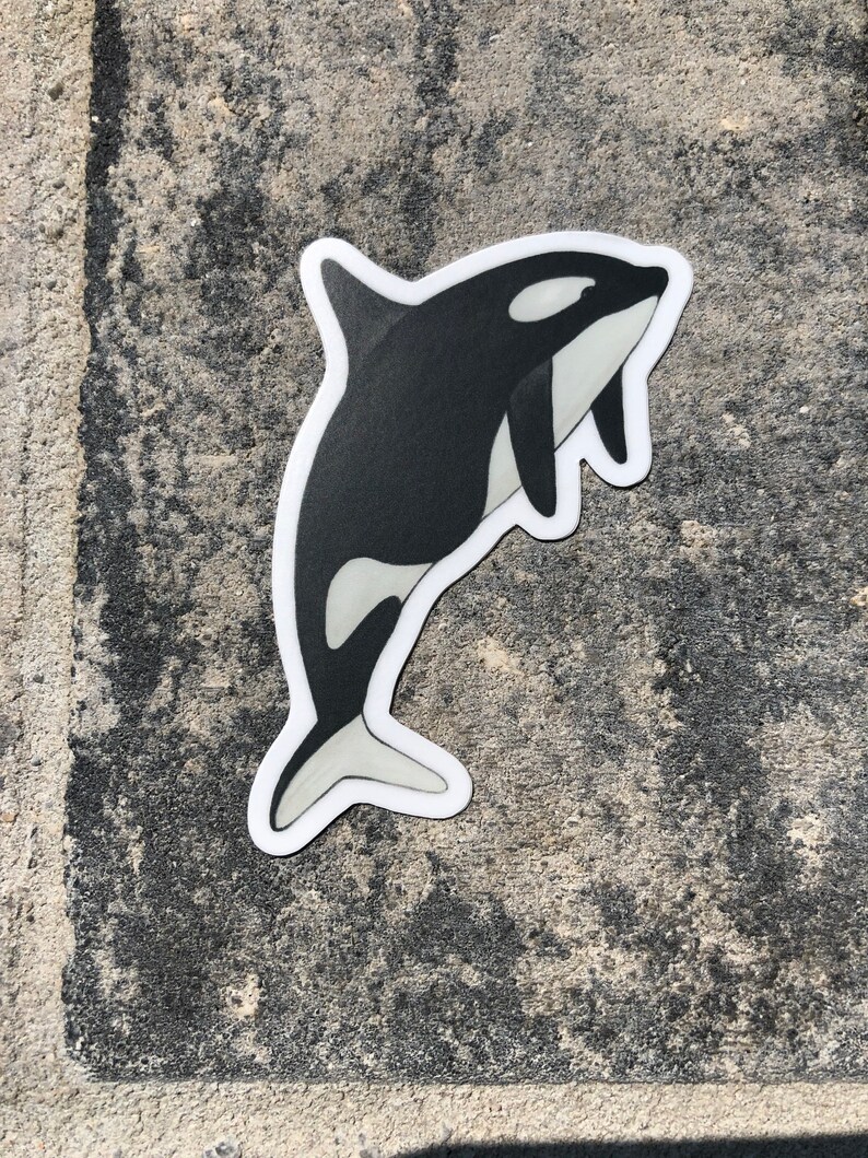 Orca Whale Sticker Vinyl Stickers Waterproof Stickers Water - Etsy