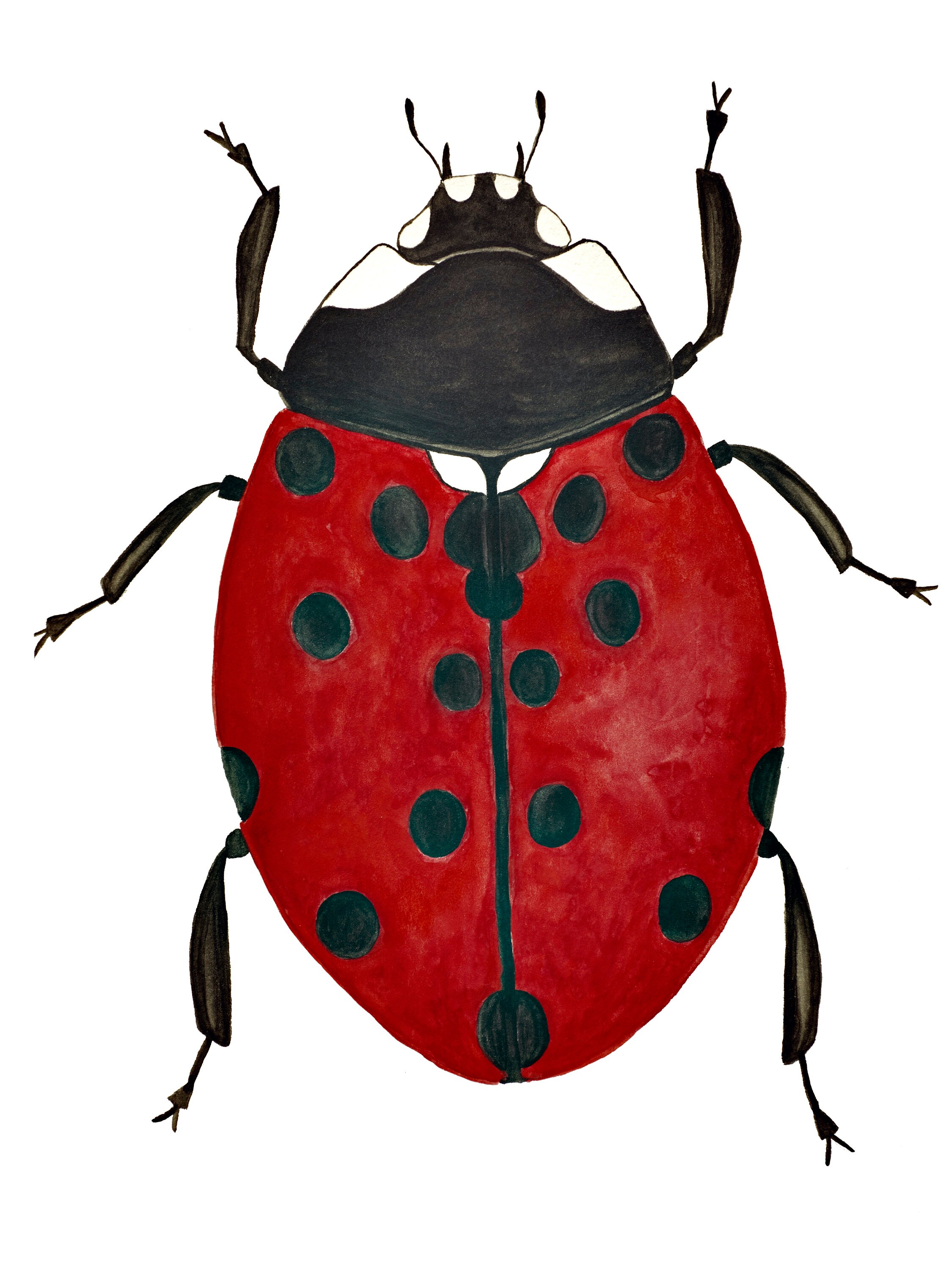 Red Ladybug, Watercolor, Art Print, Minimalist, Bug Painting, Lady Bug ...