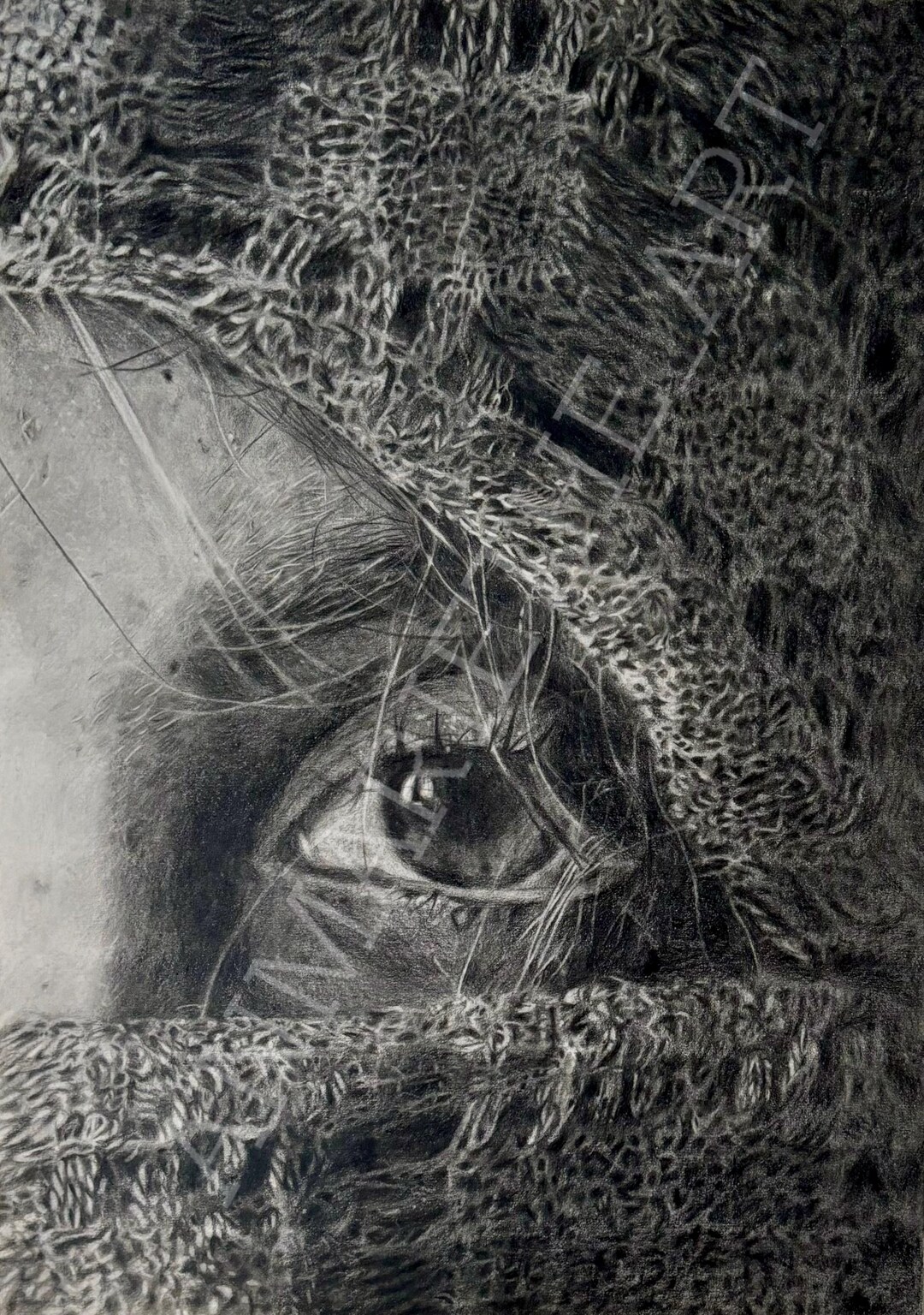 Hyperrealistic/photorealistic POSTER of GRAPHITE DRAWING - Woman's Eye ...