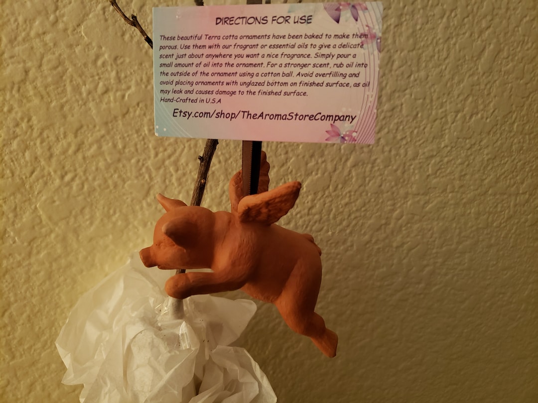 Terra Cotta Oil Diffuser- Flying Pig! - Etsy