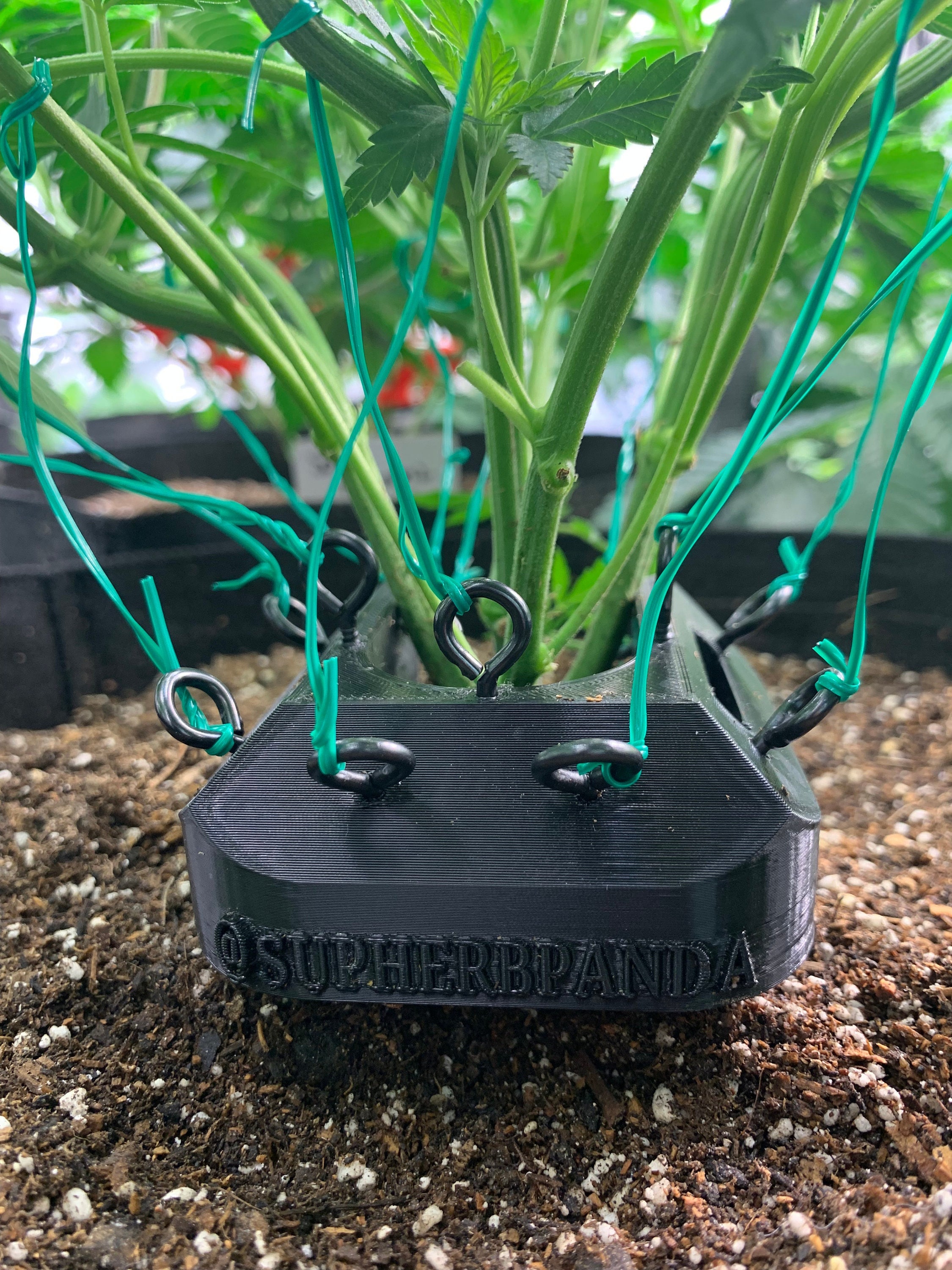 Supherb Base Trainers™ Plant Trainer LST Cannabis - Etsy Australia