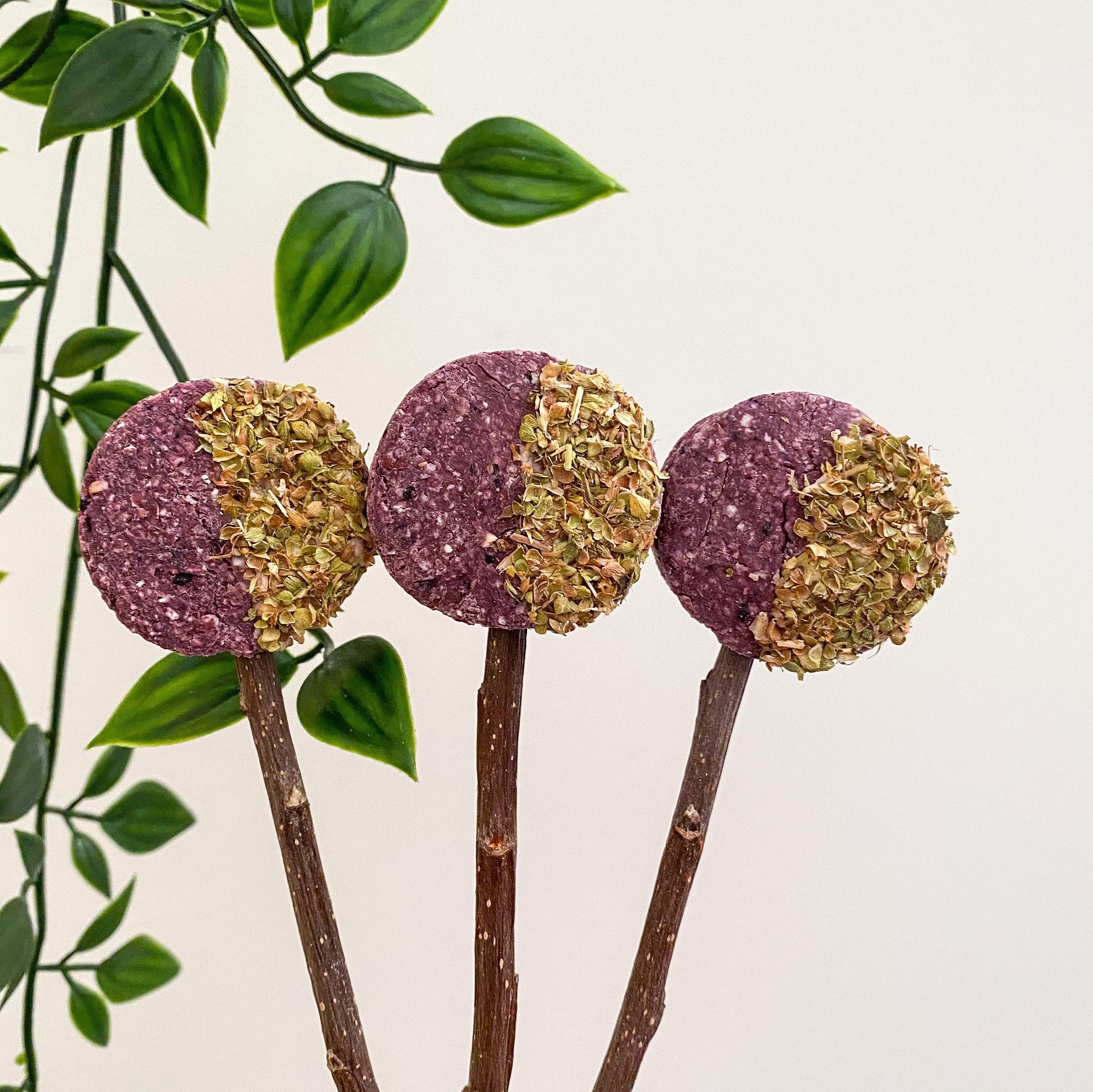 Assorted Bun Pops Bunny Treats Rabbit Treats Pet Bunny Pet - Etsy