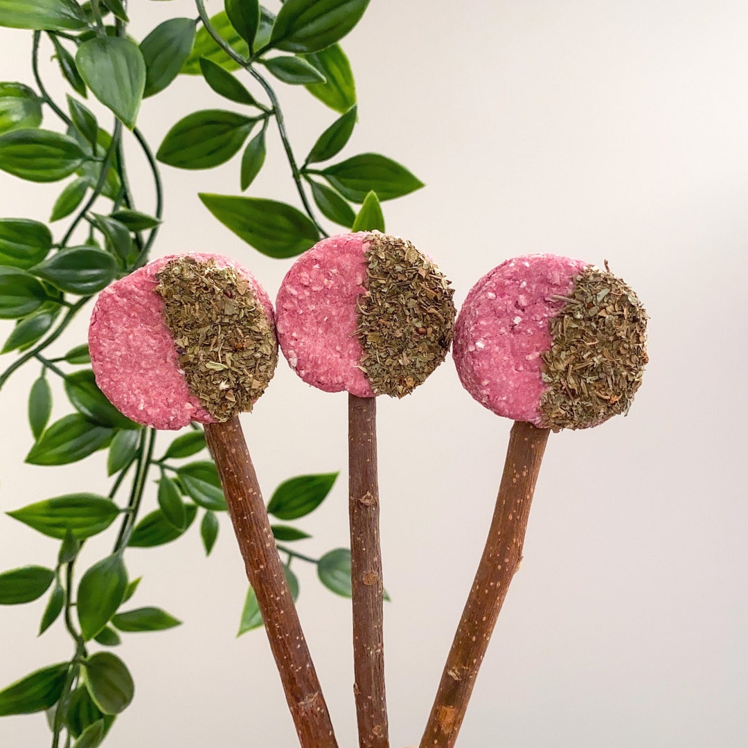 Pretty in Pink Bun Pops, Bunny Treats, Rabbit Treats, Pet Bunny, Bunny ...