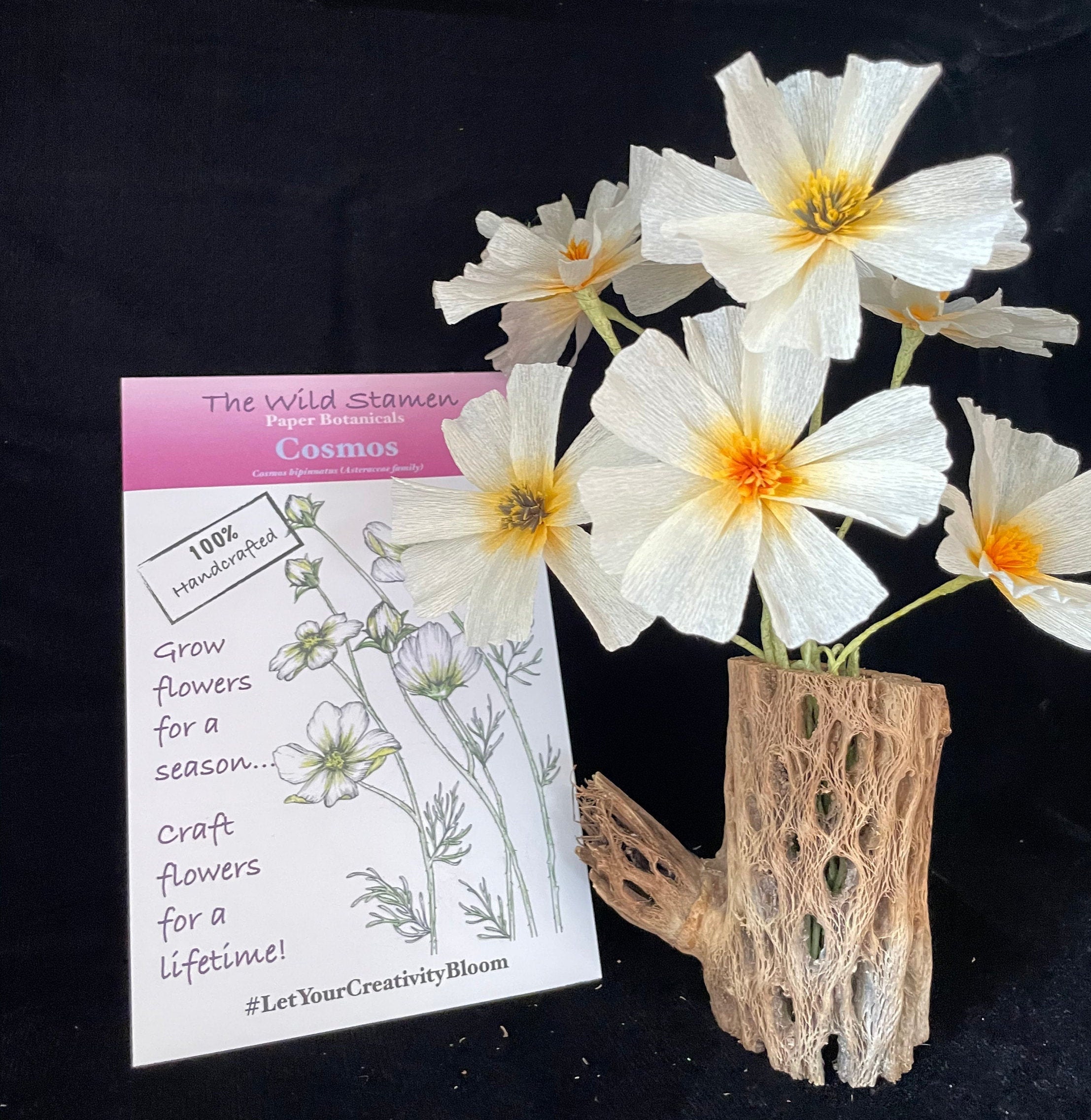 Paper Flower 'seed Packet' Kit, Cosmos, DIY Paper Flowers - Etsy