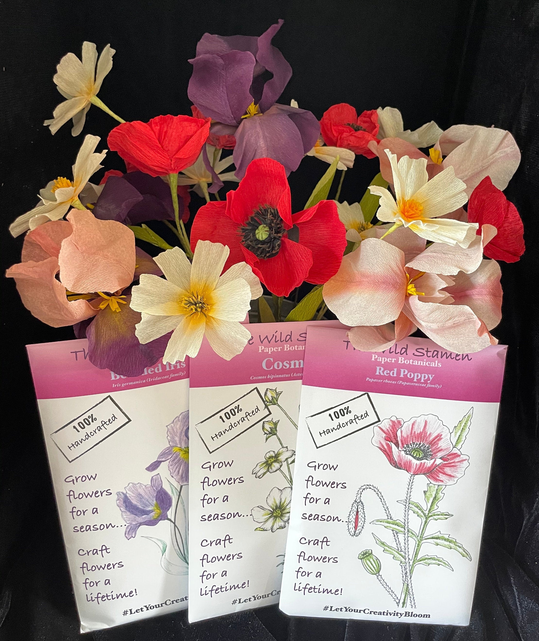 Paper Flower 'seed Packet' Kit, Cosmos, DIY Paper Flowers - Etsy