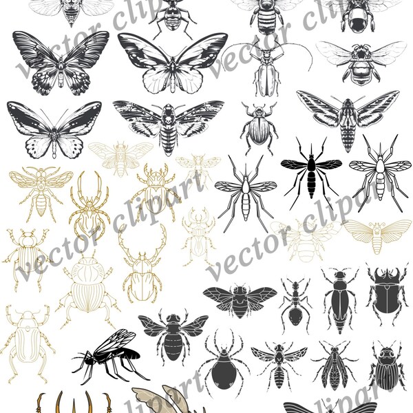 Insect Clipart - Etsy