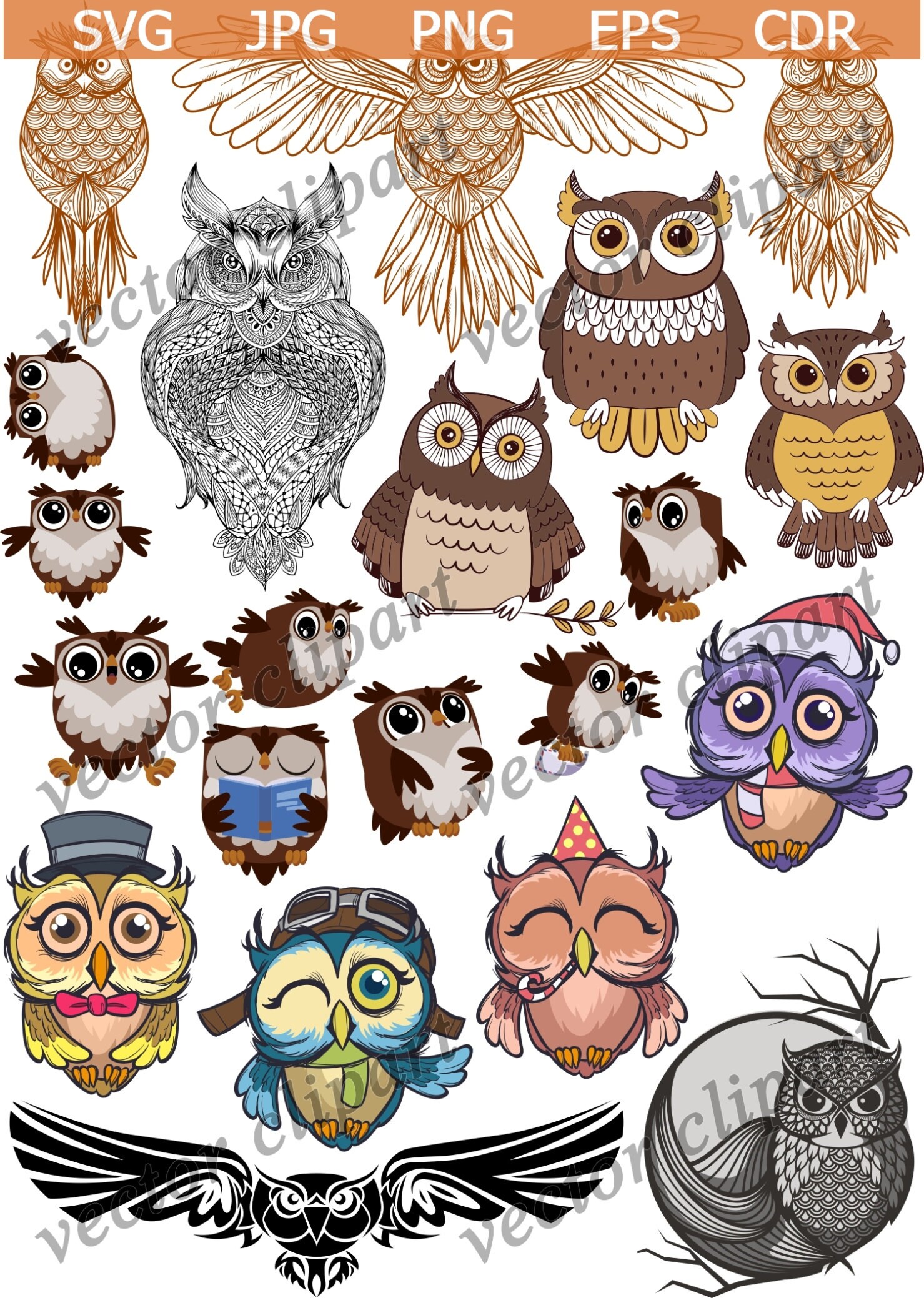 Owl SVG Owl clipart Owl svg files Owl vector cut file | Etsy