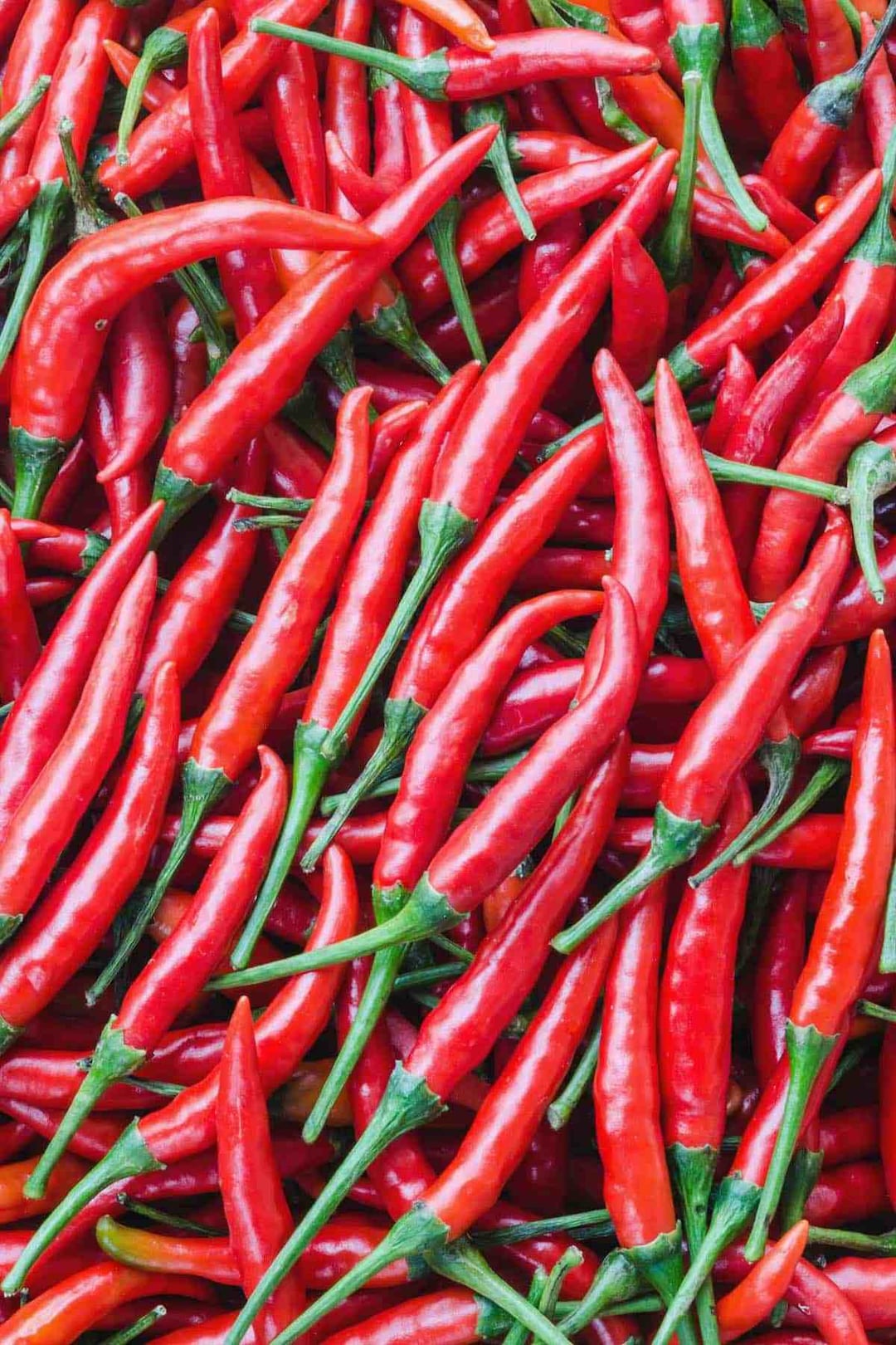 Organic Cayenne Pepper Plant (capsicum Annuum) Seeds - Etsy