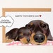 Happy Mother's Day - Printable Dog Mothers Day Card, Dachshund Mothers ...