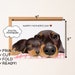 Happy Mother's Day Printable Dog Mothers Day Card, Dachshund Mothers ...