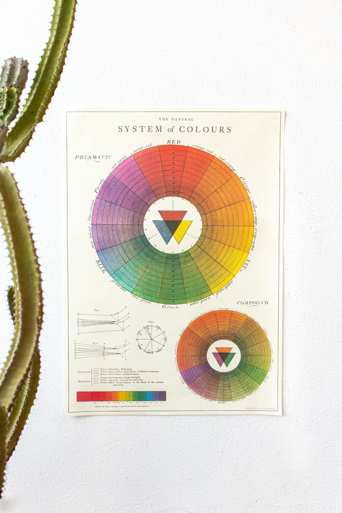 The System of Colors Scientific Chart - Etsy