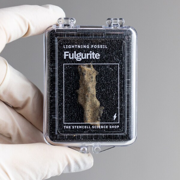 Fulgurite - Etsy