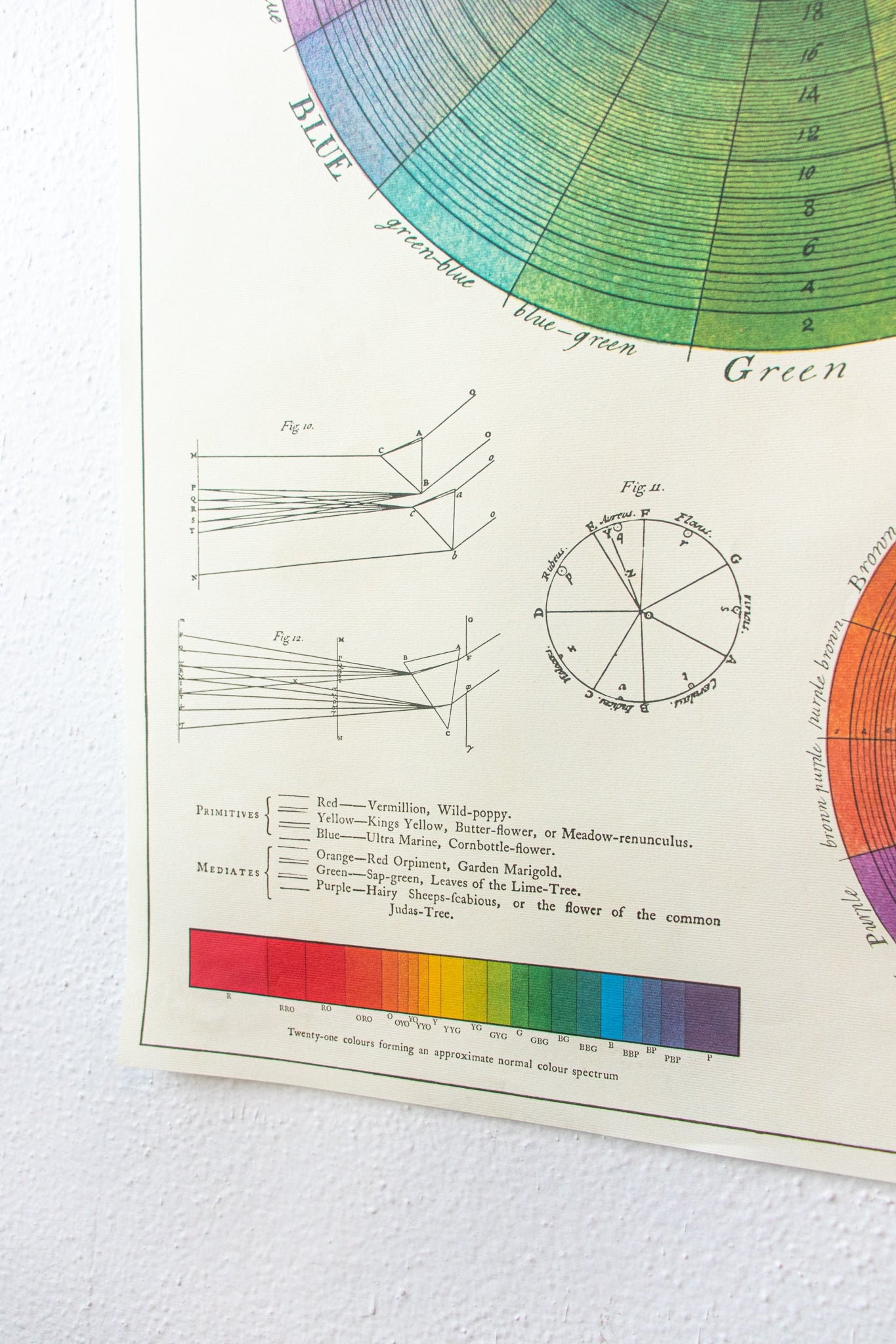 The System of Colors Scientific Chart - Etsy