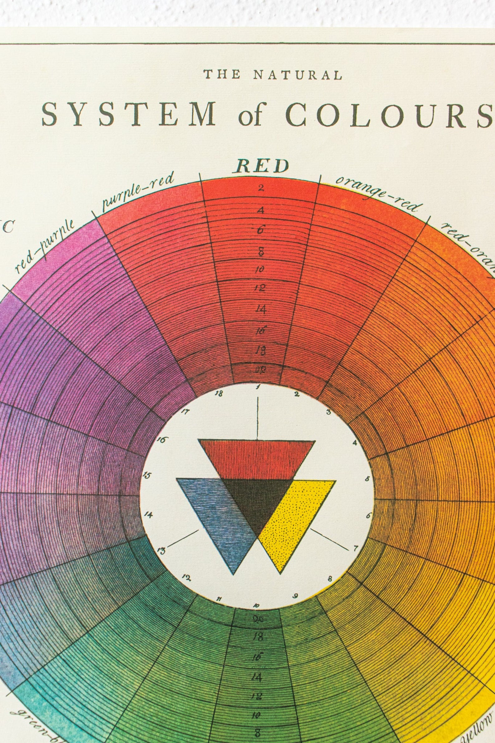 The System of Colors Scientific Chart - Etsy