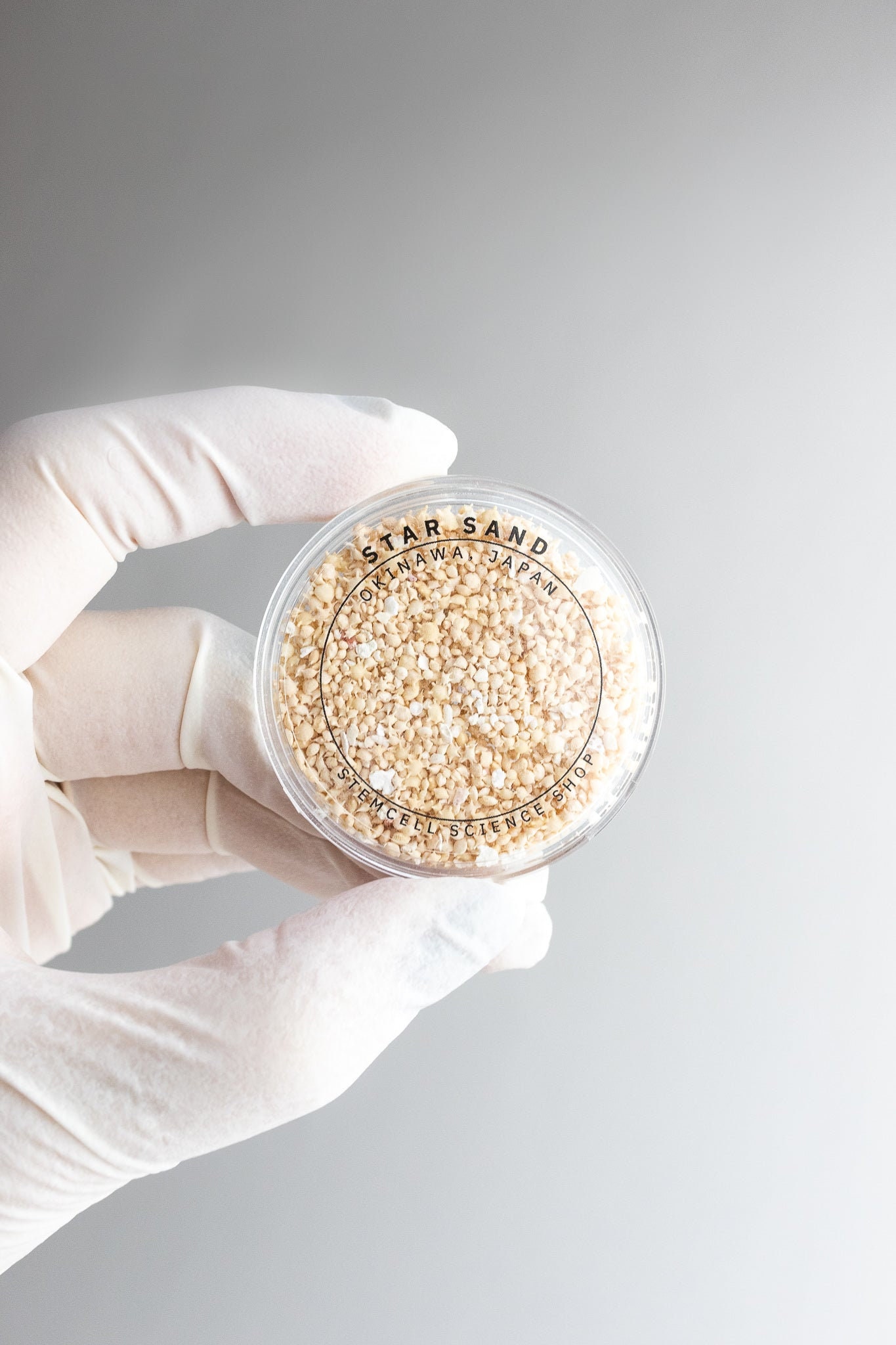 Japanese Star Sand - Etsy
