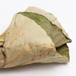 Ultra-hydrophobic Lotus Leaf - Etsy