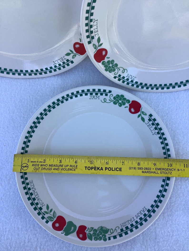 Corelle Farm Fresh Dinner Plates Set of 4 - Etsy