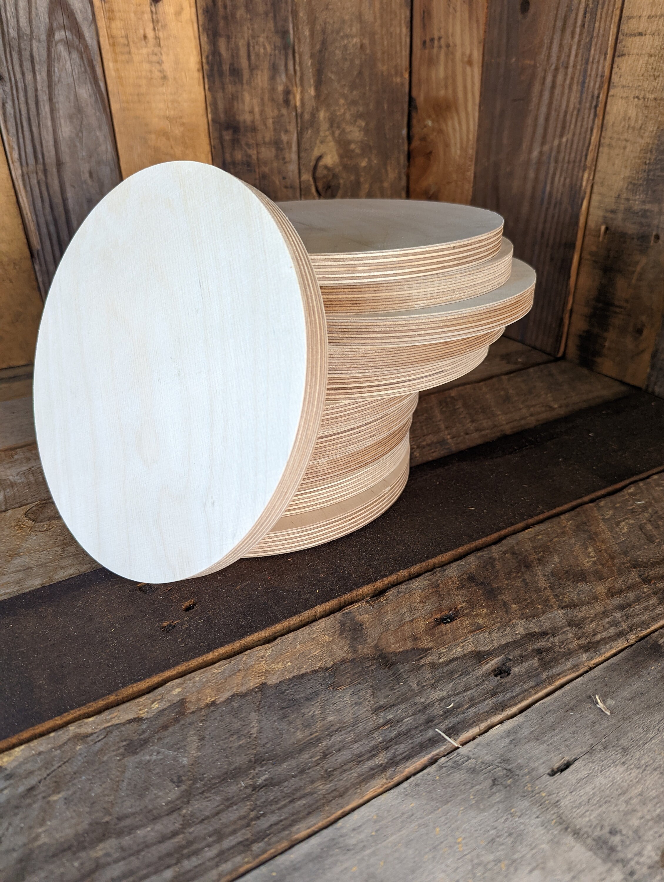 8 Wood Circle Disc Plaques BALTIC BIRCH Wooden Circles - Etsy