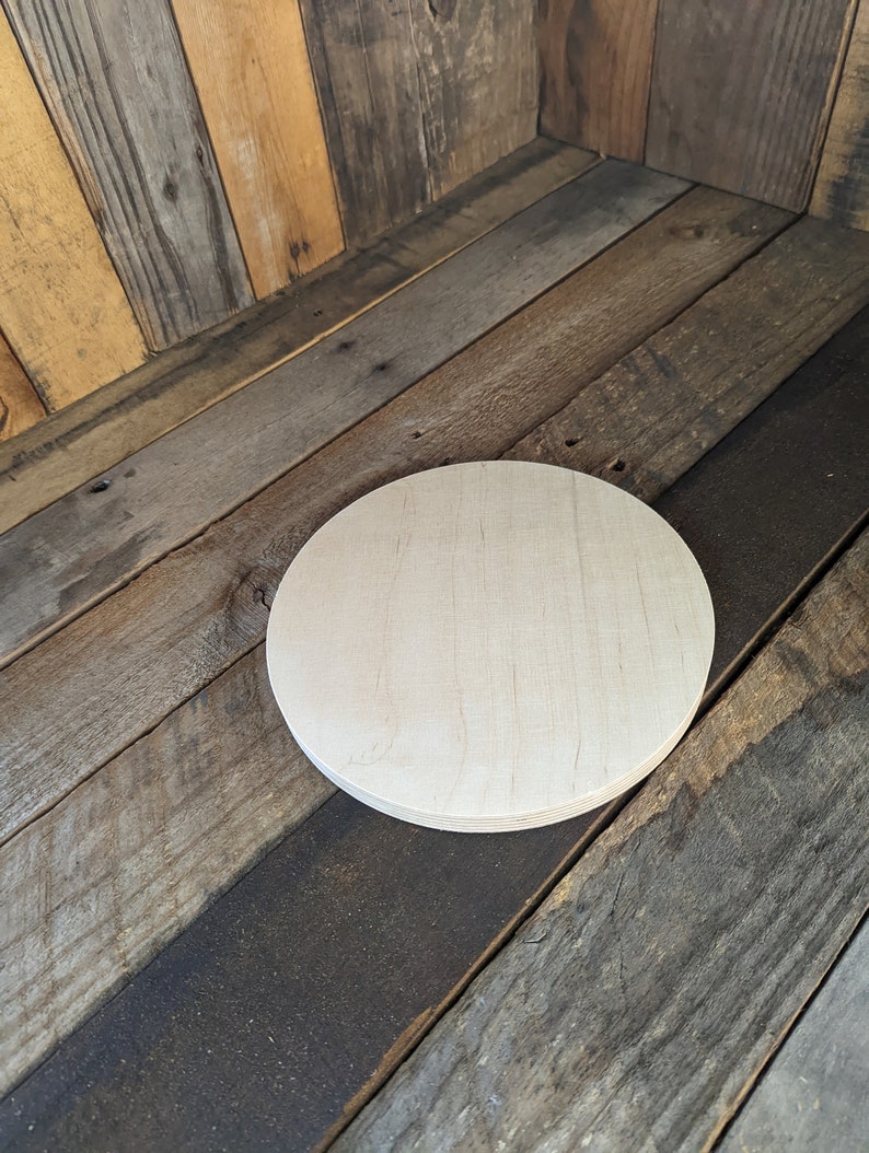 8" Wood Circle Disc Plaques, BALTIC BIRCH Wooden Circles, Unfinished ...