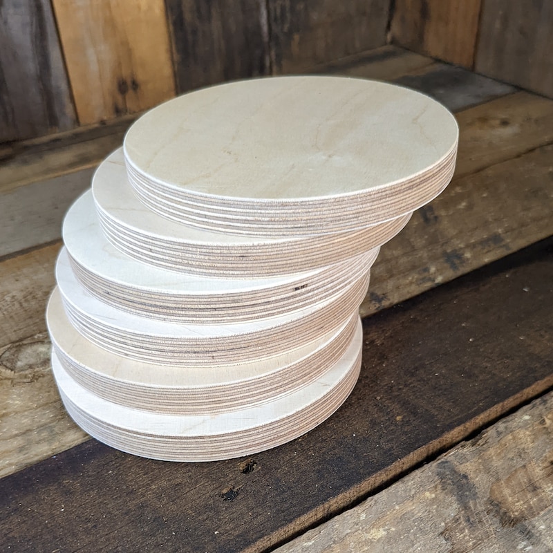Birch Wood Disc 5 Inch - Etsy