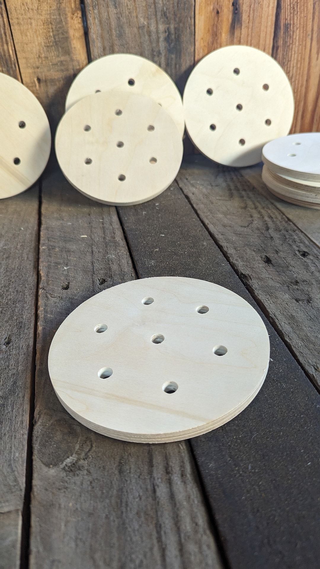 6" Squirrel Cage End Wood Circle Disc Plaques, BALTIC BIRCH Wooden ...