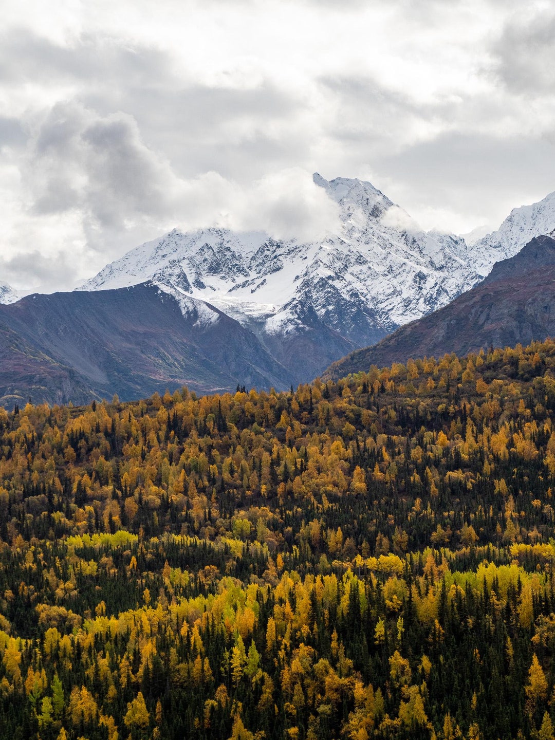 Alaska in Autumn Fine Art Print, Autumn Forest Landscape Photo Print ...