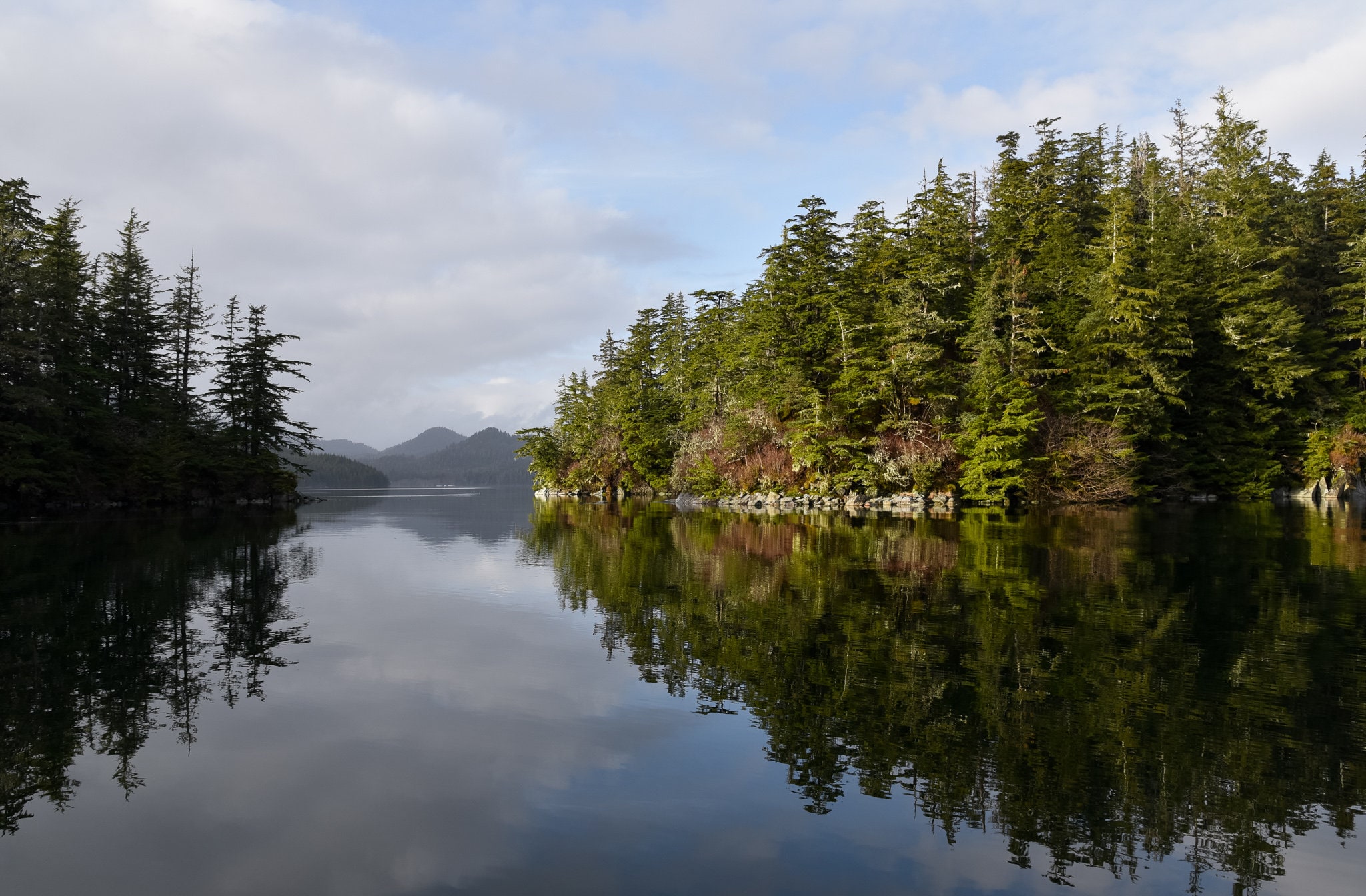 Sitka, Alaska Rainforest Reflections Fine Art Landscape Print - Etsy