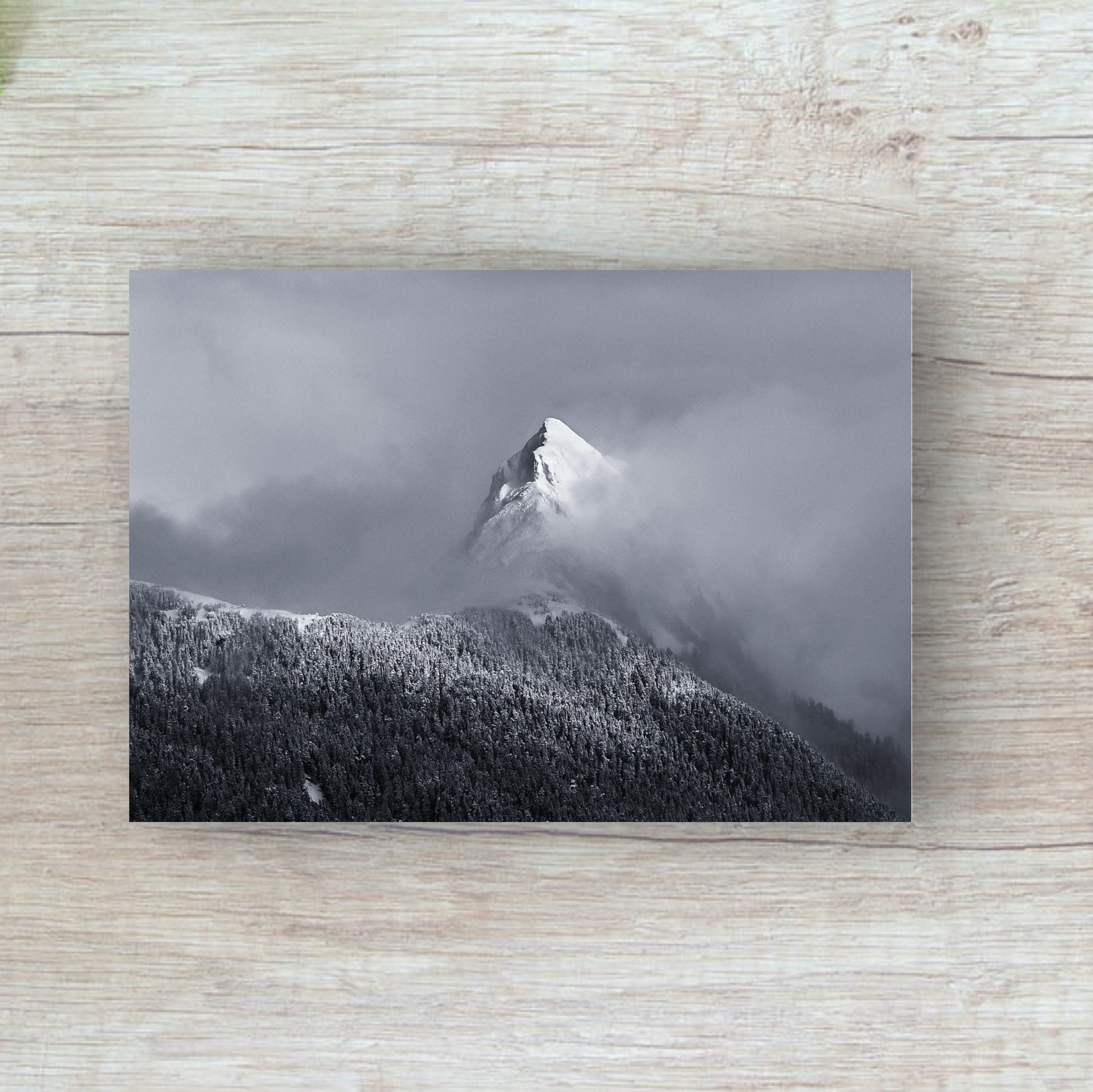 Mount Verstovia in Winter Storm, Sitka, Alaska. Black and White ...