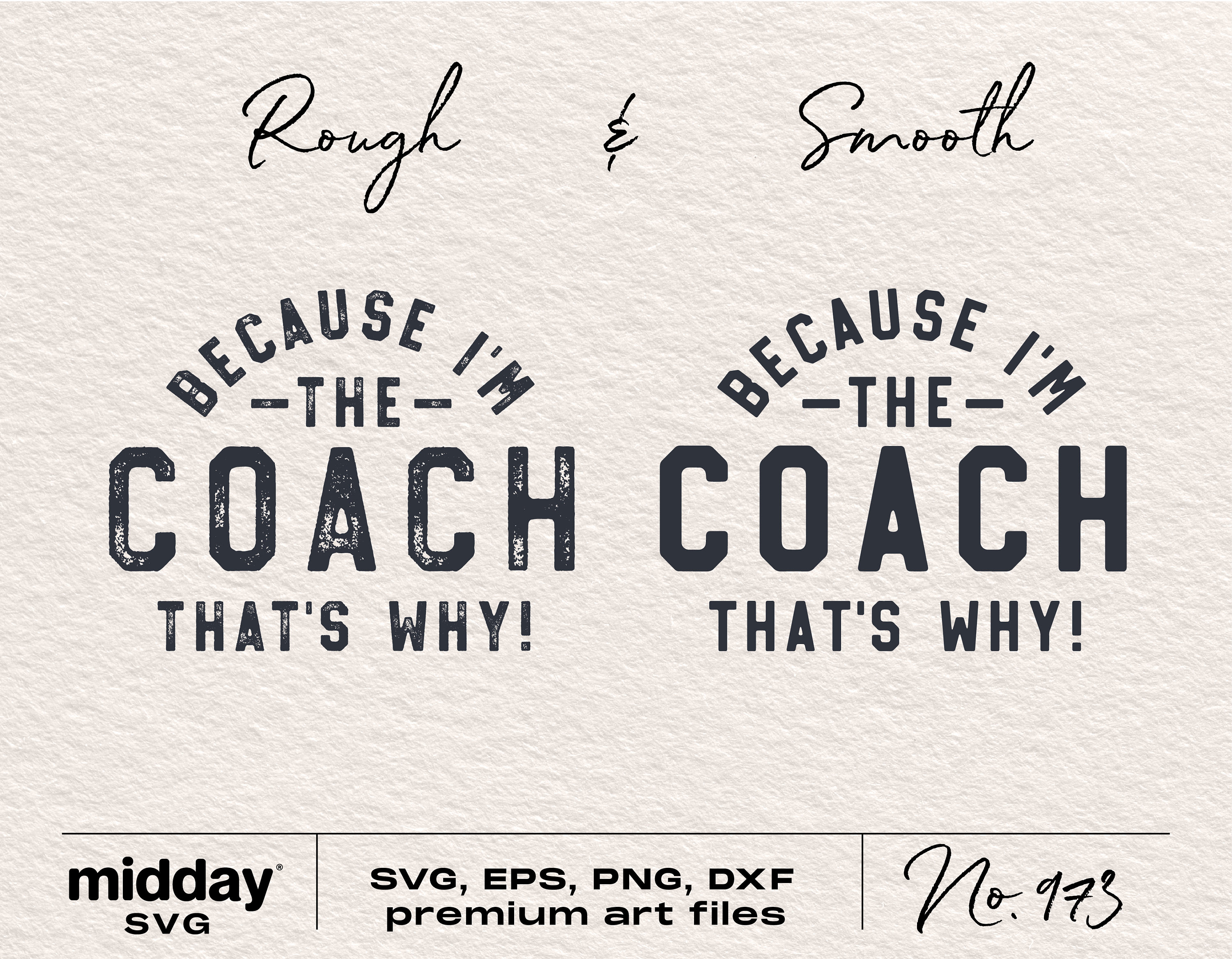 Funny Coach Shirt SVG, PE Teacher, Cheer, Football, Baseball (digital ...