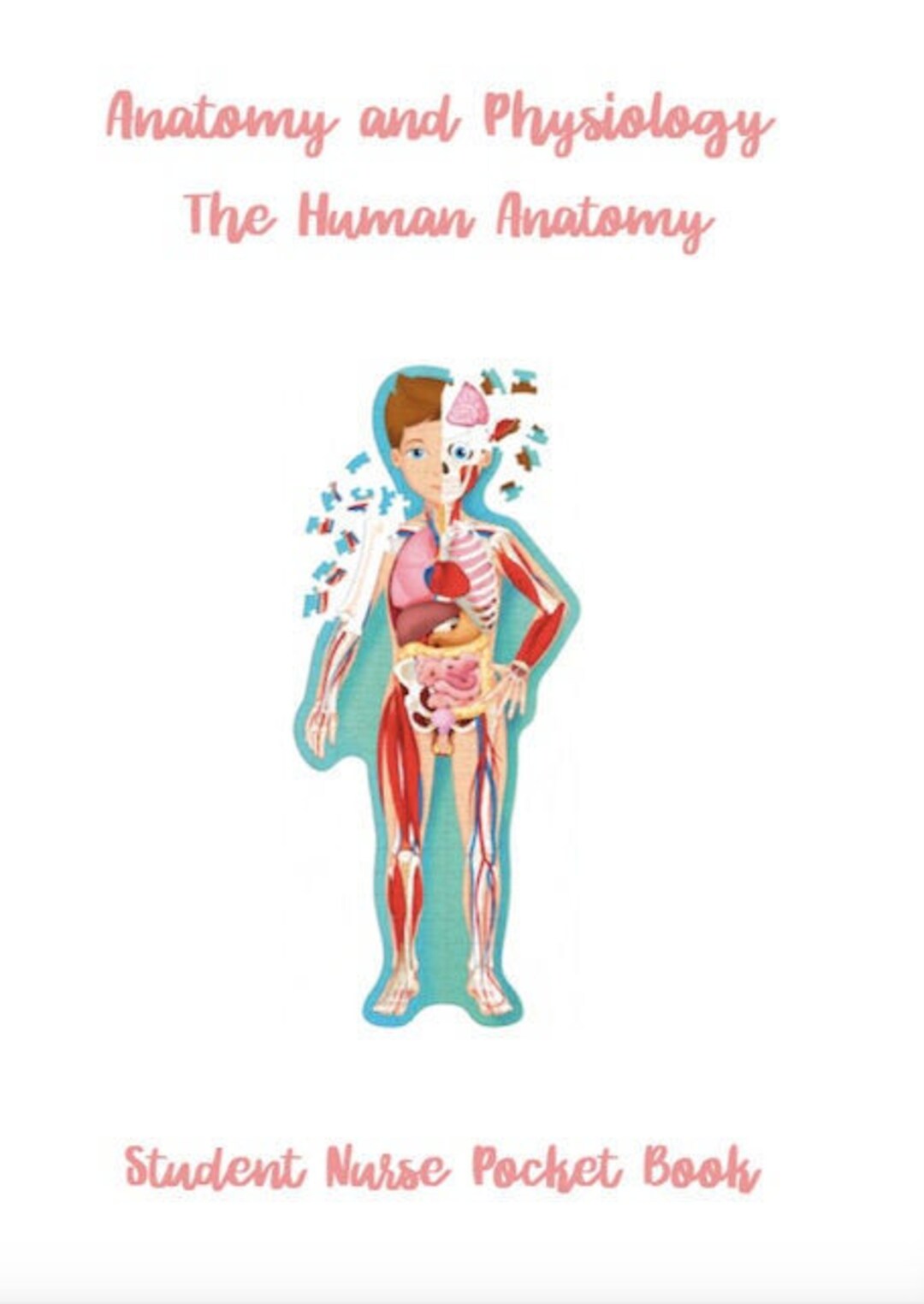 Anatomy and Physiology - the 11 Systems for Student Nurses - Etsy
