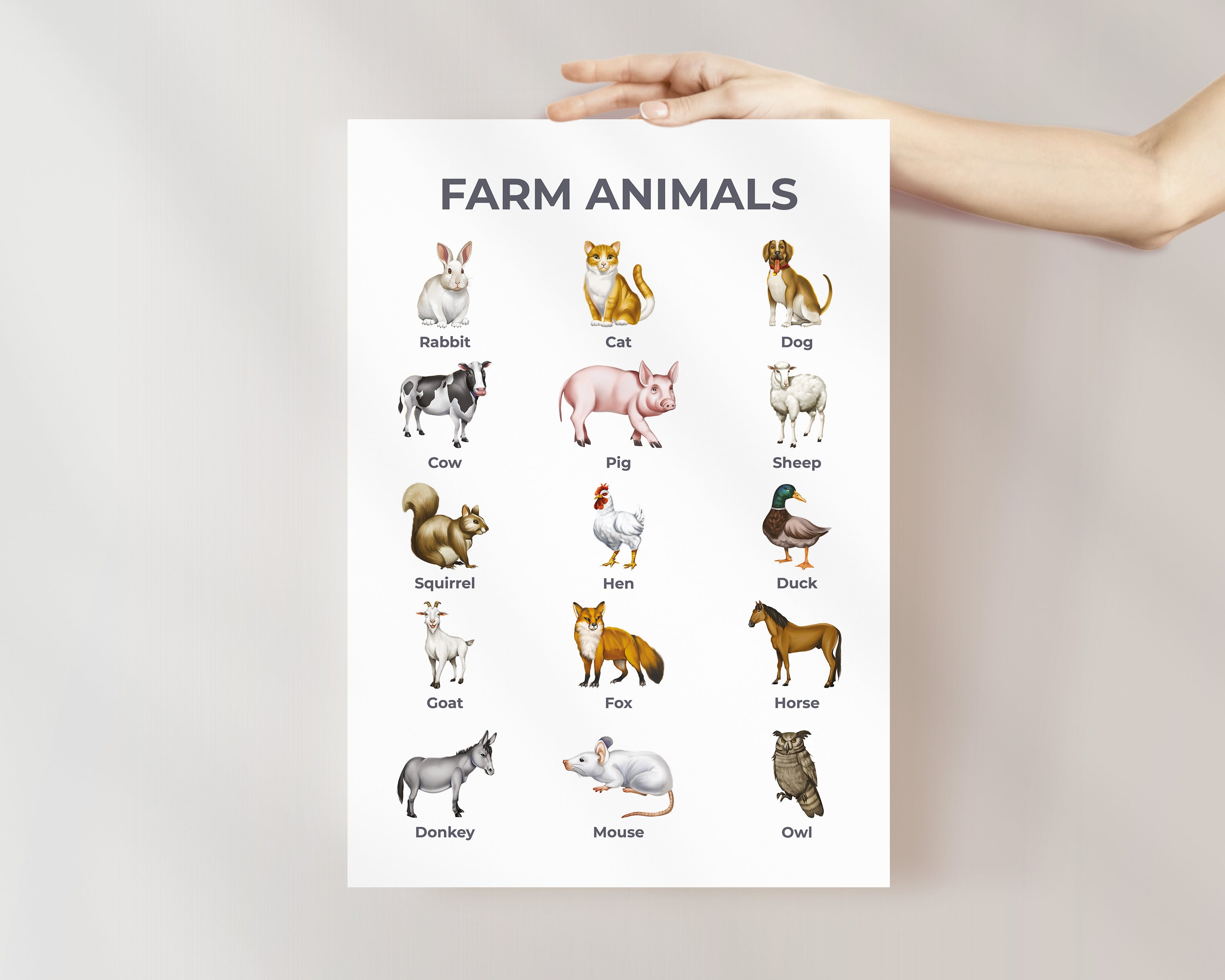 Real Farm Animals Pictures Chart